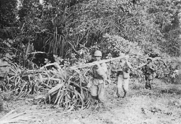 New Guinea Campaign - Aitape - 32D Red Arrow Infantry Division and Brigade