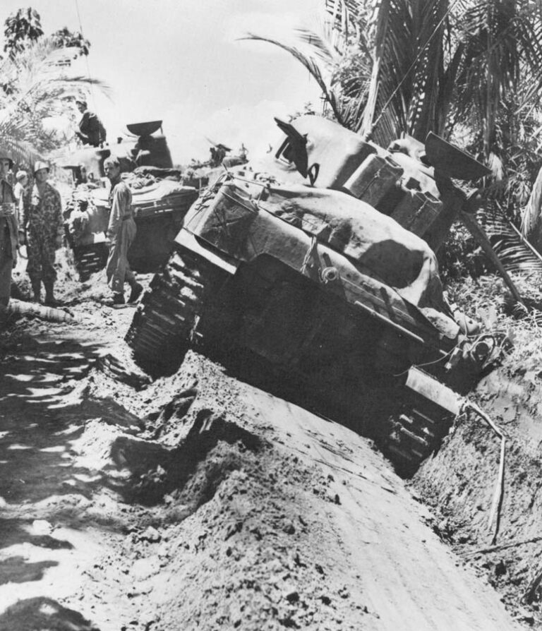 New Guinea Campaign - Aitape - 32D Red Arrow Infantry Division and Brigade